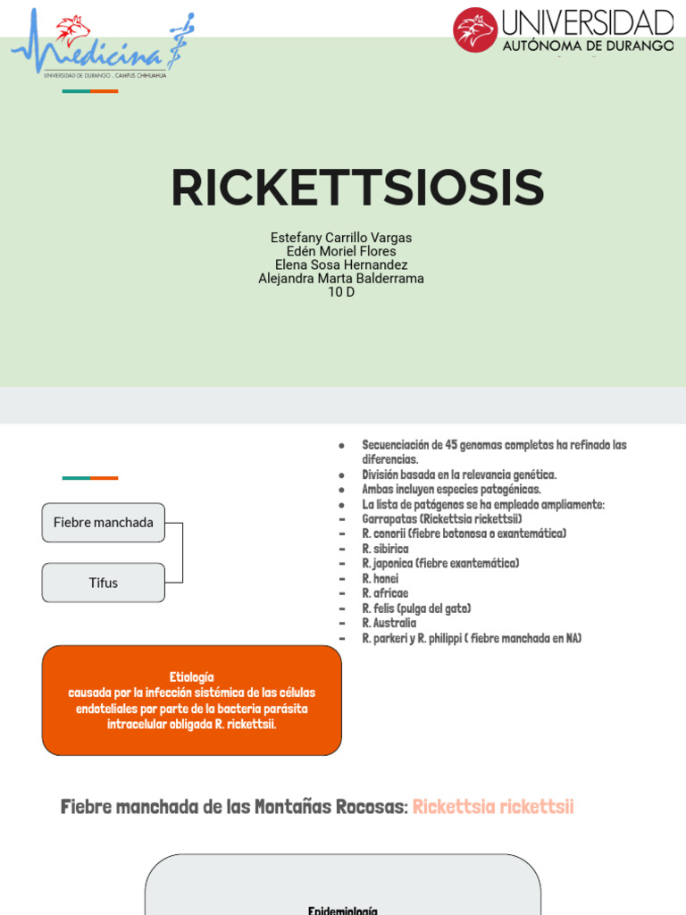 RICKETTSIAS | PDF | Enfermedades y trastornos | Medicina CLINICA