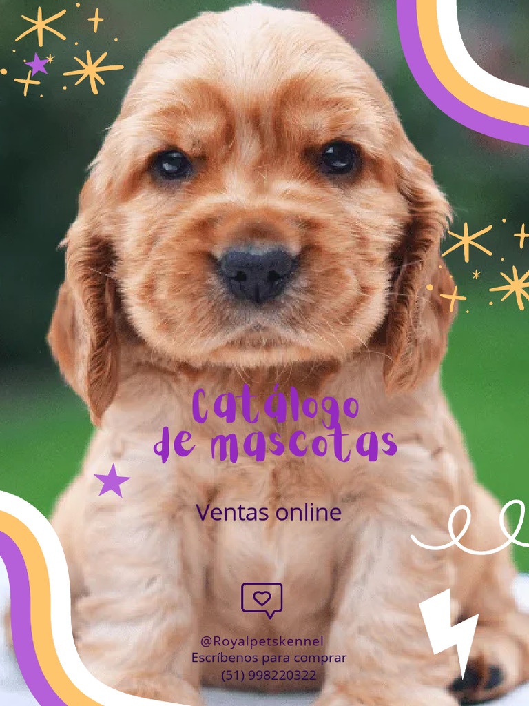 Catálogo Cachorros | PDF