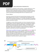 Lac Vs TRP Operon | PDF | Operon | Repressor