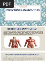 Guía de Posiciones Anatómicas en Medicina | PDF | Enfermería | Medicina ...