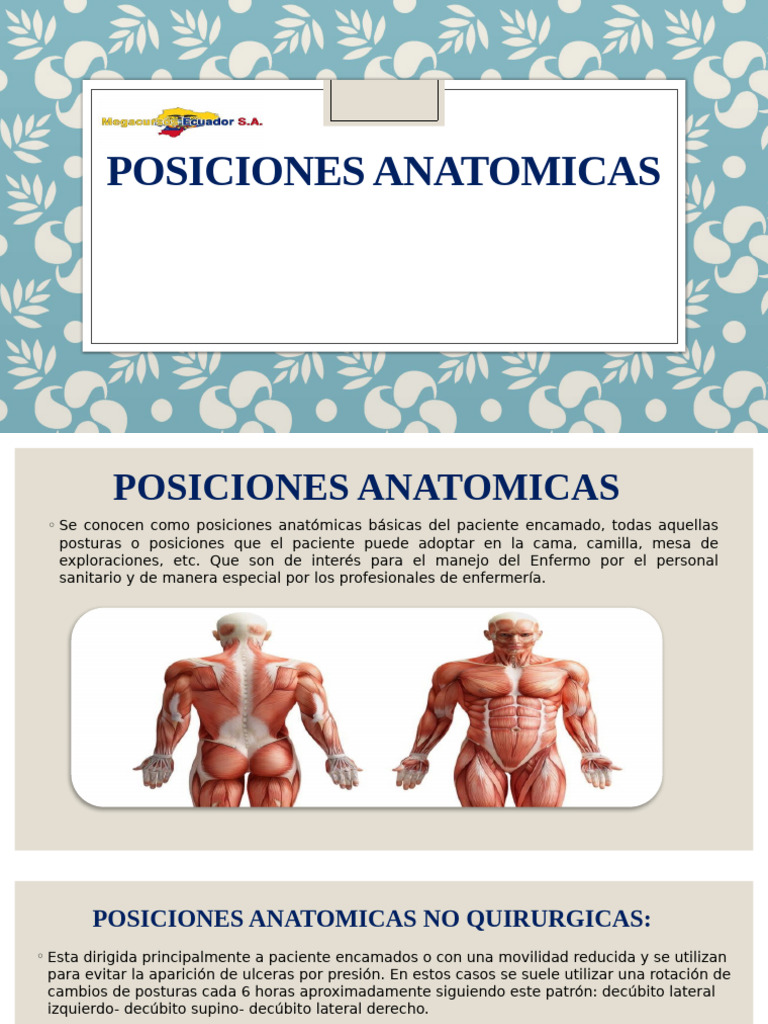 Posiciones Anatomicas Diapositivas | PDF | Páncreas | Enfermedades y trastornos