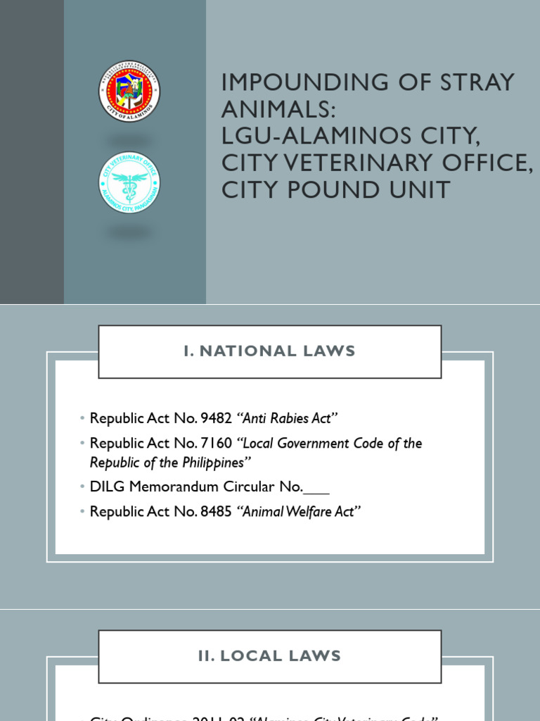 Presentation Briefer For Impounding of Stray Animals | PDF | Bioethics ...