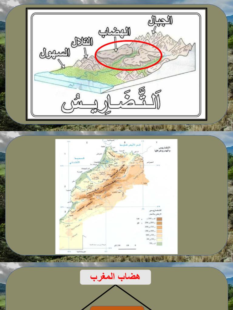 Ben Amara Fatima | PDF