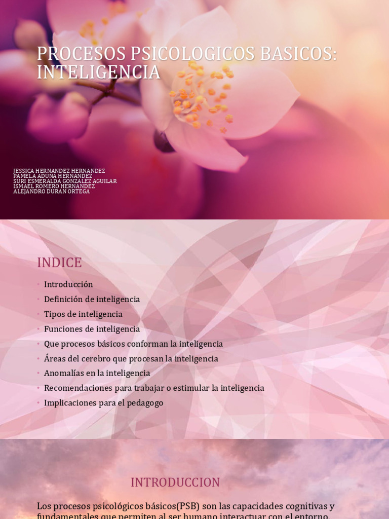 Procesos Psicologicos Basicos | PDF | Aprendizaje | Inteligencia