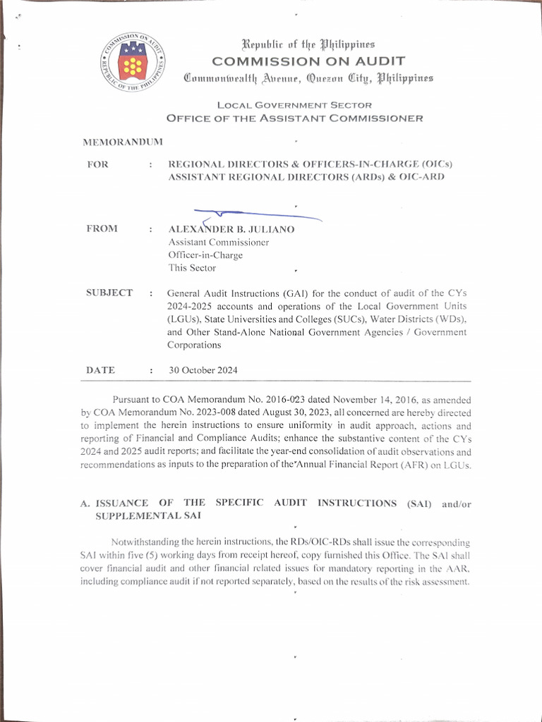 GAI for LGUs Audit 2024-2025 | PDF | Audit | Financial Audit