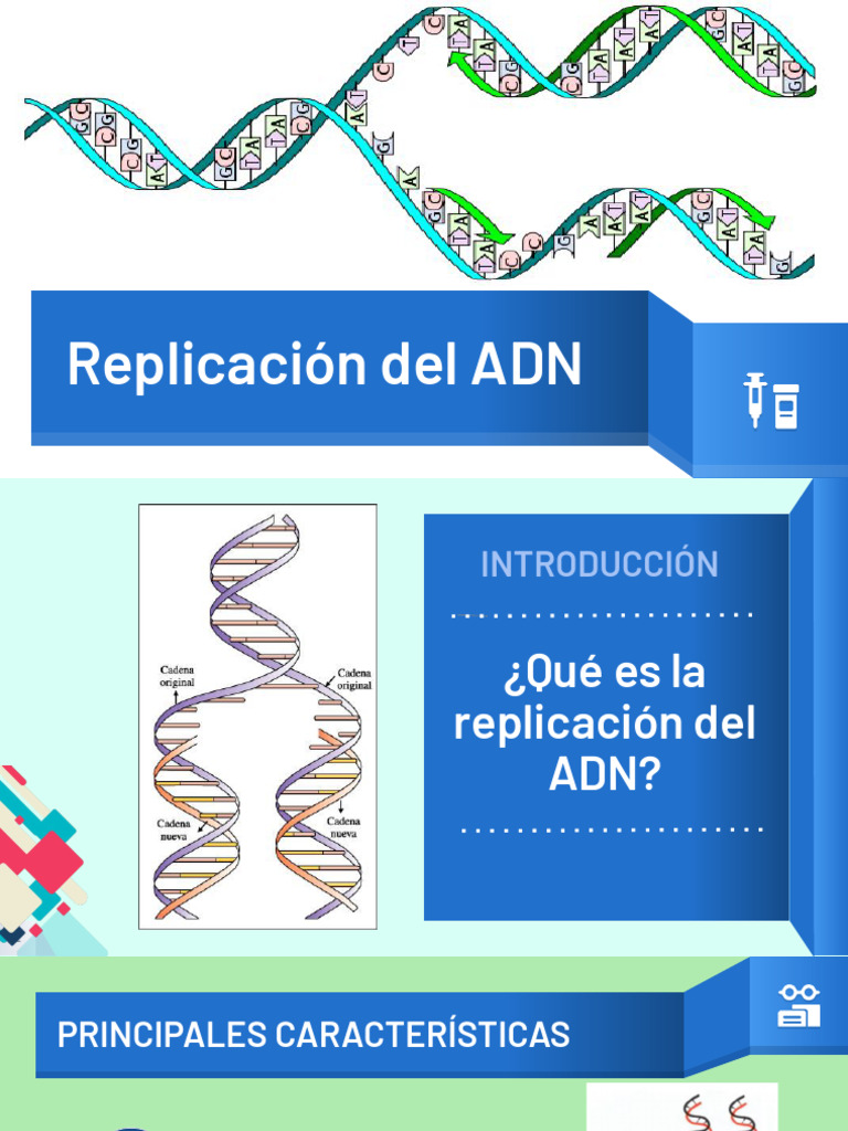 Replicación Del ADN | PDF | Replicación De Adn | Adn