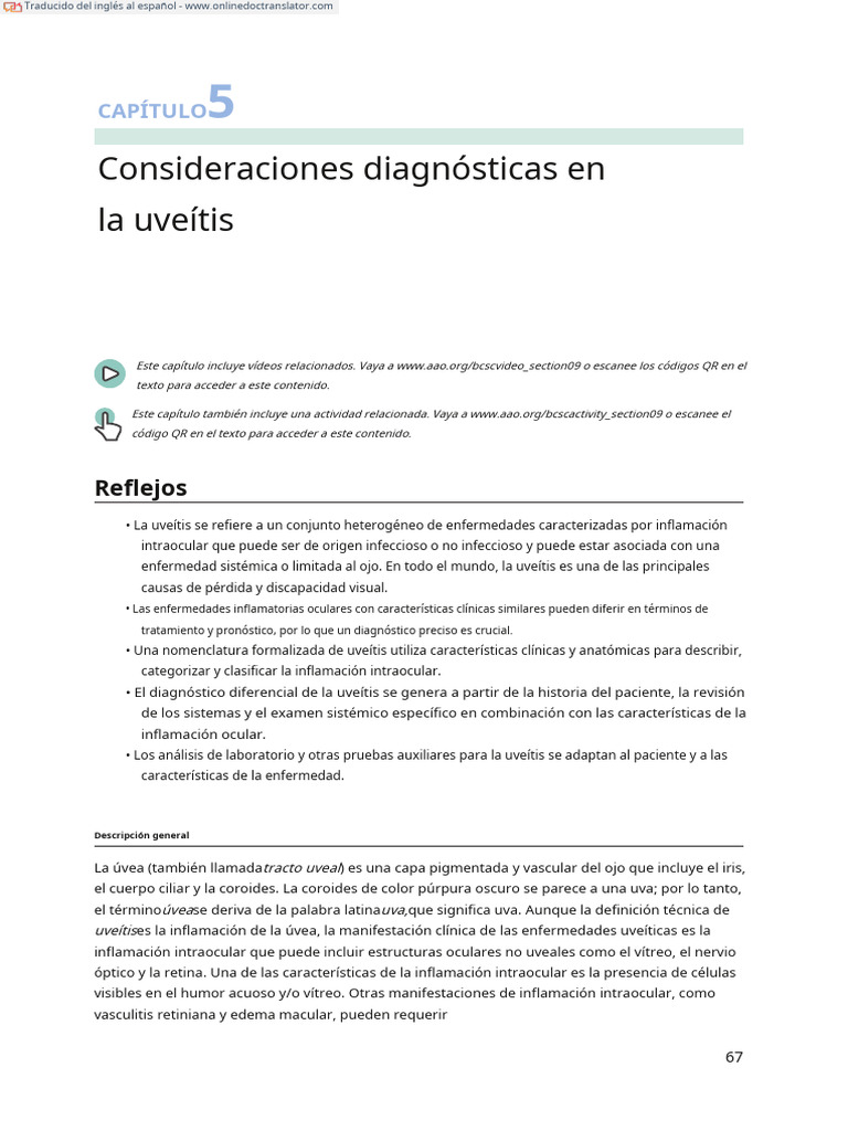 9.uveitis and Ocular Inflammation (084-153) .En - Es | PDF | Ojo humano | Especialidades Medicas