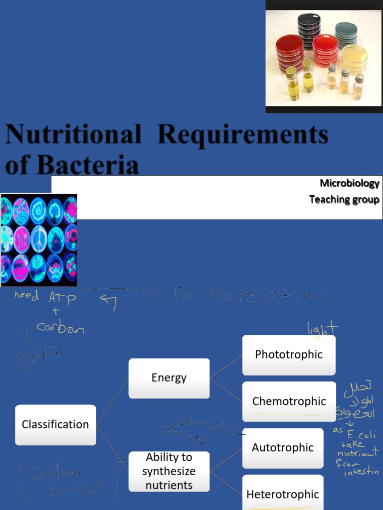 Bacterial Nutritional Requirements Overview | PDF | Bacteria | Growth ...