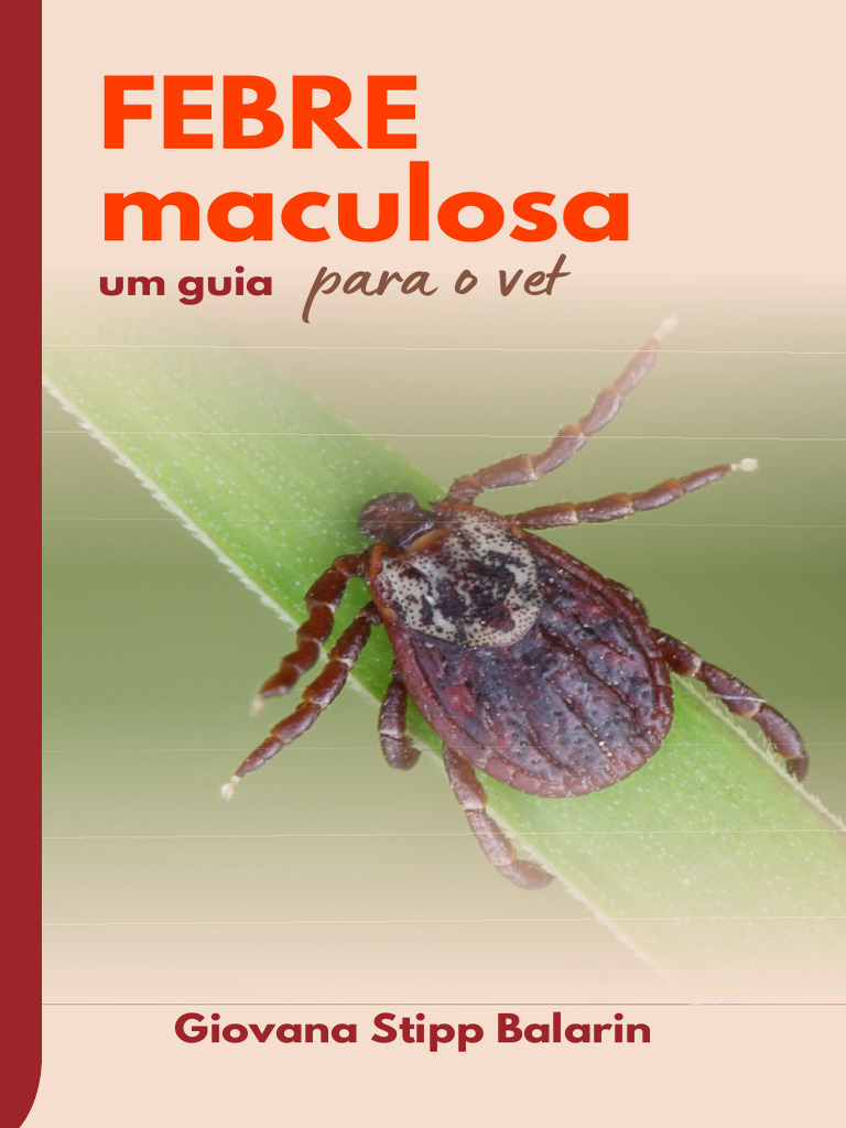 febre-maculosa | PDF | Ciências da Saúde | Doenças e distúrbios