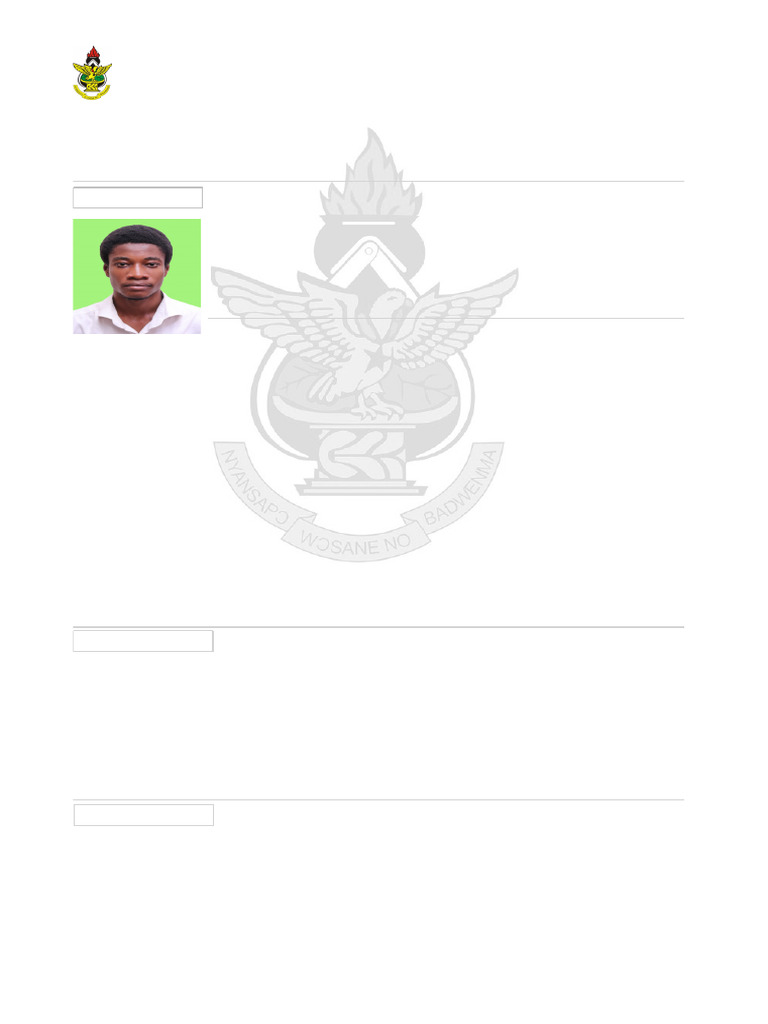 KNUST BSc Information Technology Application | PDF | University And ...
