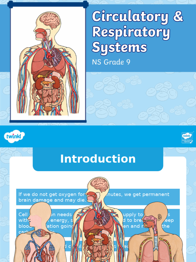 Za Nst 1644992054 Circulatory Respiratory Systems Powerpoint Ver 2 ...