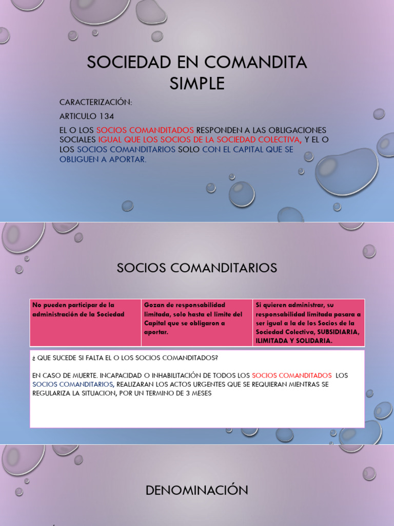 Sociedad en Comandita Simple | PDF