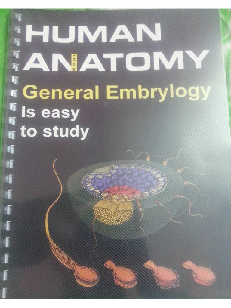 Embryology DR - Ehab | PDF