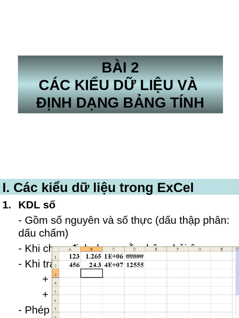 Excel Bai 2 Cac KDL Va Dinh Dang DL | PDF