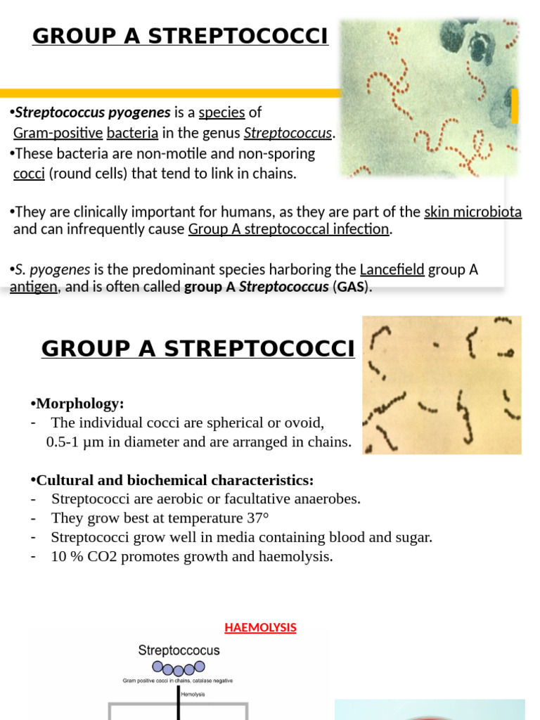 CHART 11 Cellulitis | PDF | Streptococcus | Medical Specialties