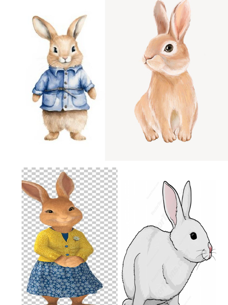 Rabbit Fam Etc Puppet Show | PDF