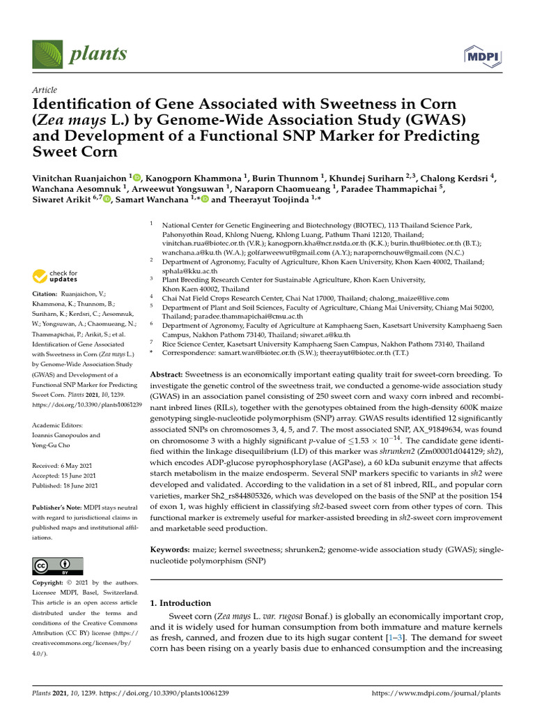 Functional SNP Marker For Predicting Sweet Corn | PDF | Single ...