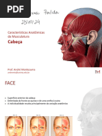 Músculo Orbicular da Boca: Funções e Estética | PDF | Boca | Anatomia