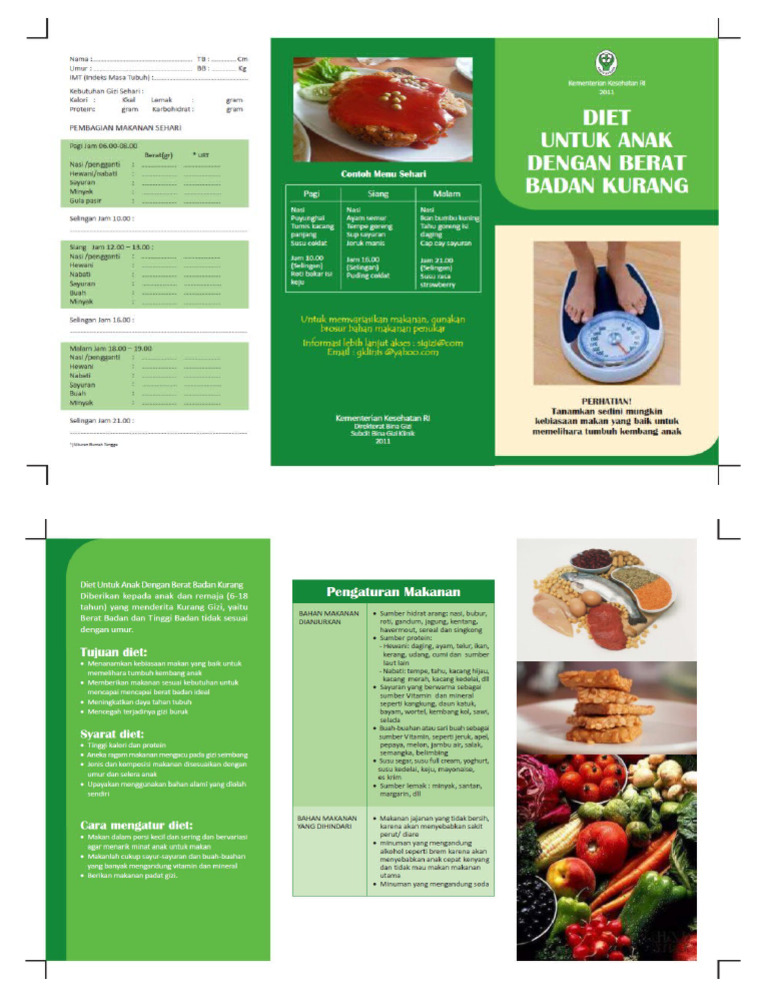 LEAFLET BB ANAK KURANG FIX 2019 | PDF