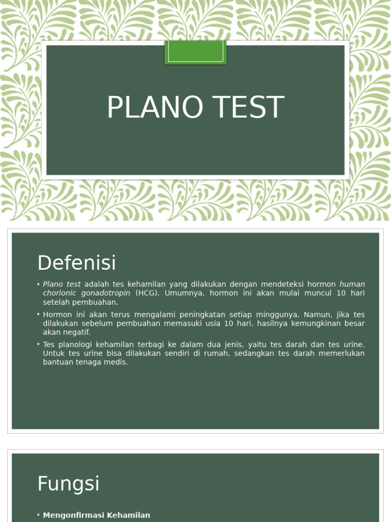 Tutor Plano Test | PDF