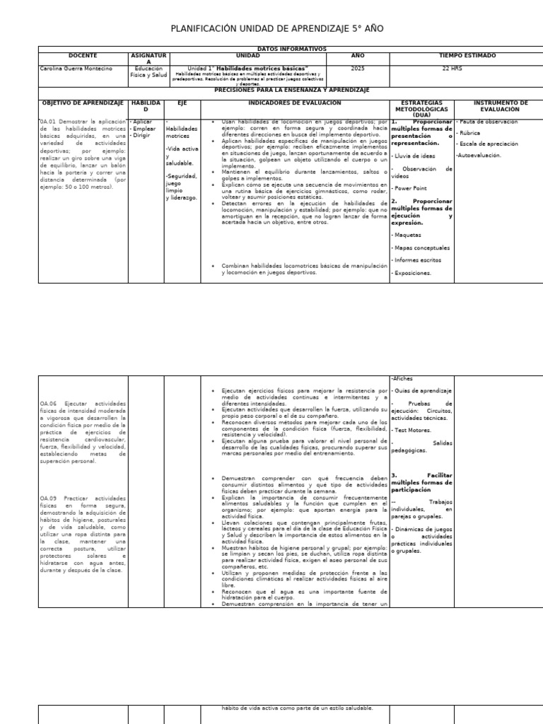 Planificacion Anual 5 Año Básico 2025 | PDF | Evaluación | Aprendizaje