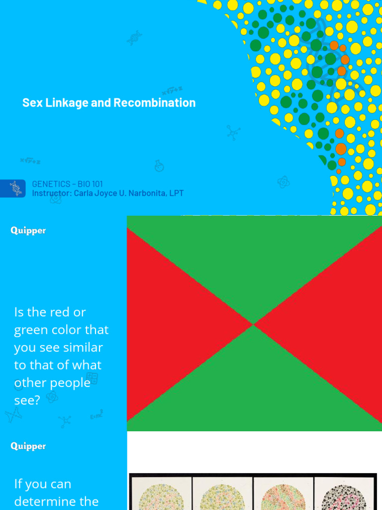Sex Linked Traits and Recombination | PDF | Genotype | Genetic ...
