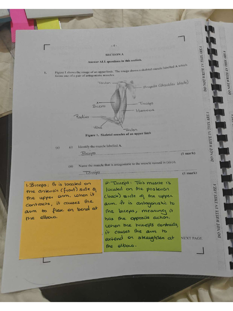 HSB January 2019 | PDF