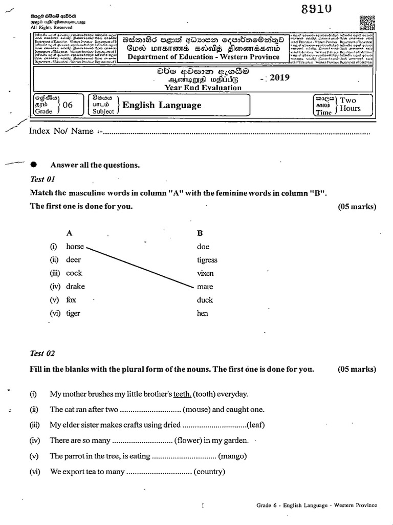 2019 g6 English | PDF