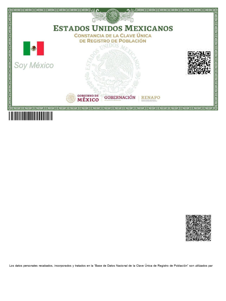 CURP | PDF