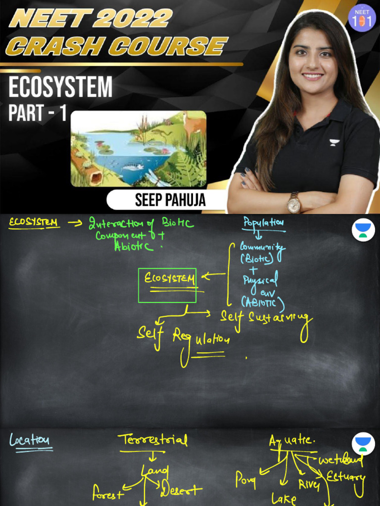 Ecosystem L1 Crash Course Youtube | PDF
