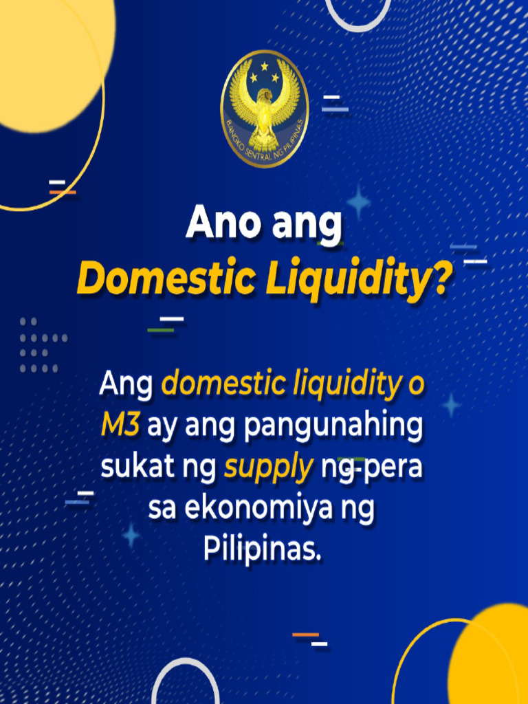 Infographics 12 Domestic Liquidity (M3) | PDF