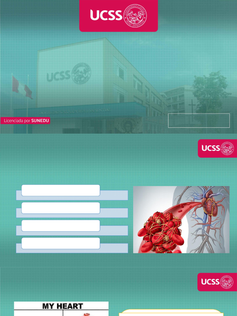 Clase 06 Ucss | PDF | Sistema circulatorio | Corazón