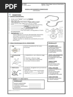 Parasite Ova and Cyst Identification Chart | PDF | Egg