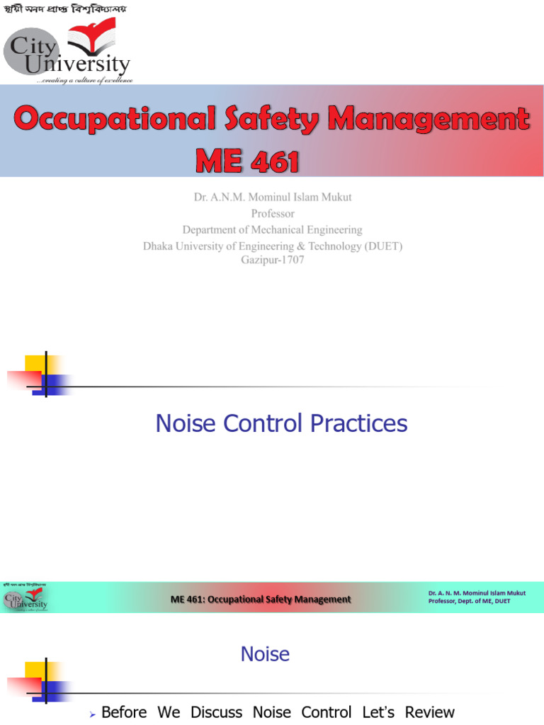 Final Slides - Noise - Human Error - Safety Audit | PDF | Noise | Sound