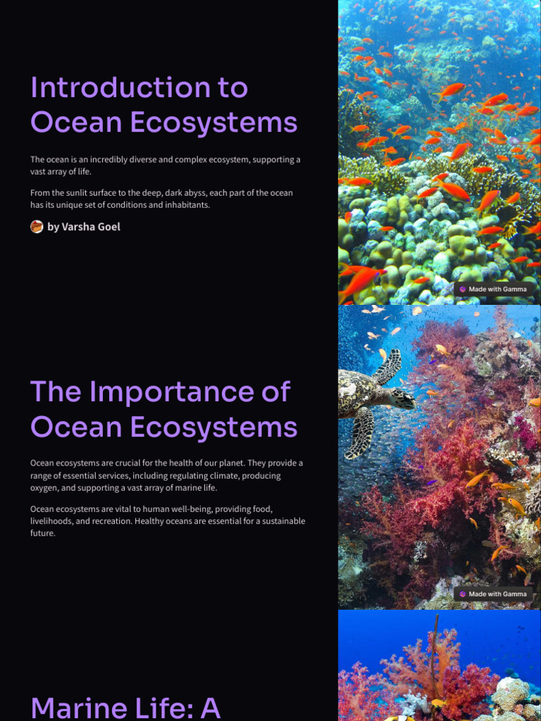 Introduction-to-Ocean-Ecosystems | PDF | Oceans | Marine Biology