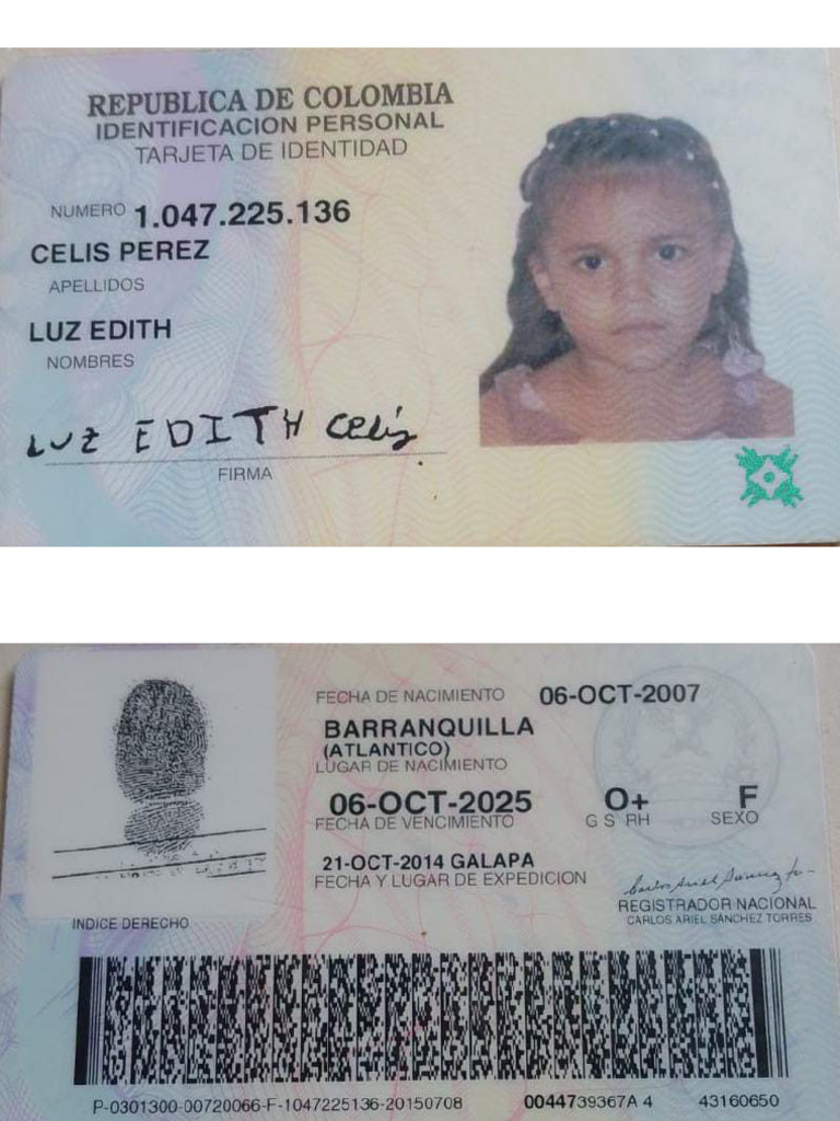 PDFReader 20241218 1503 | PDF