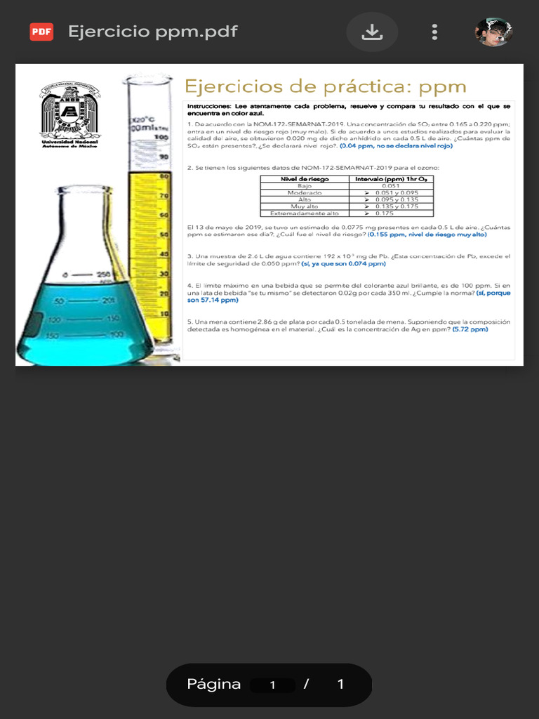 Ejercicio Ppm.pdf - Google Drive | PDF