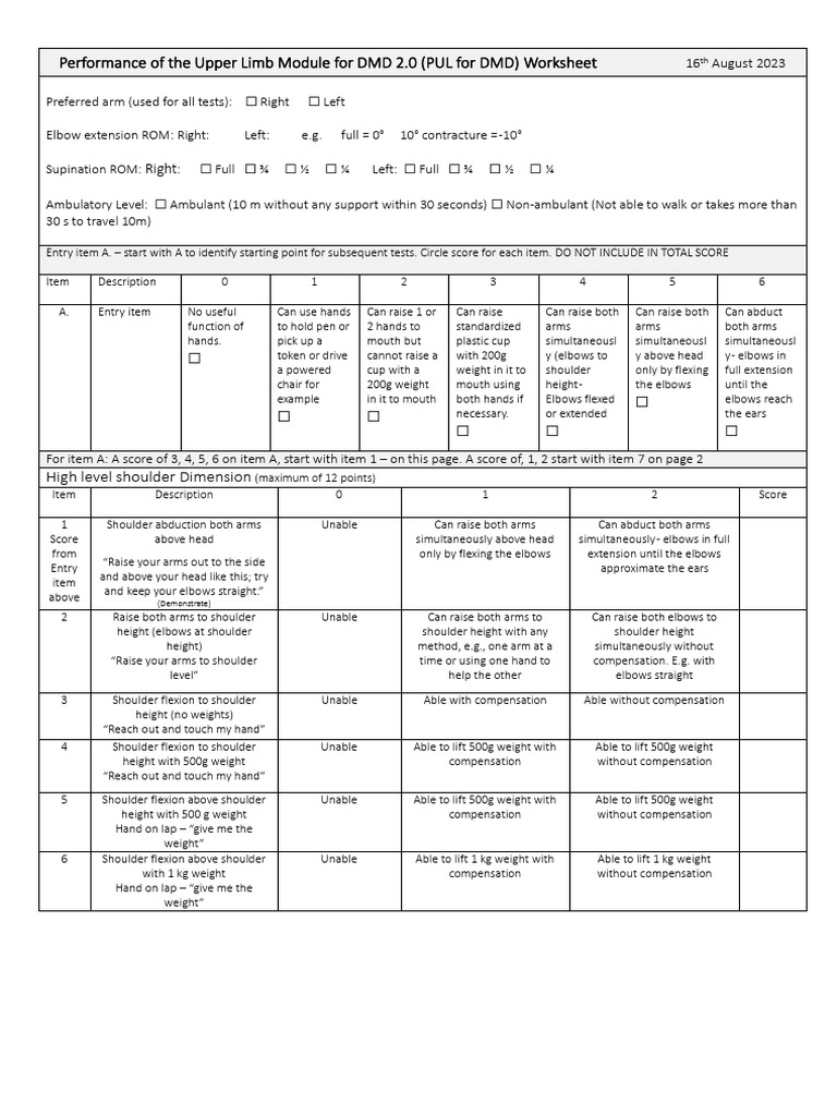 PUL 2.0 Upper Limb Assessment Worksheet | PDF | Anatomical Terms Of ...