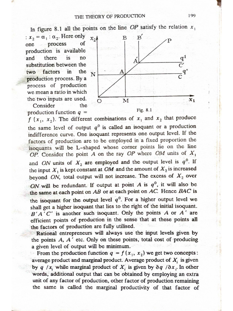 Theory of Production | PDF | Production Function | Economies