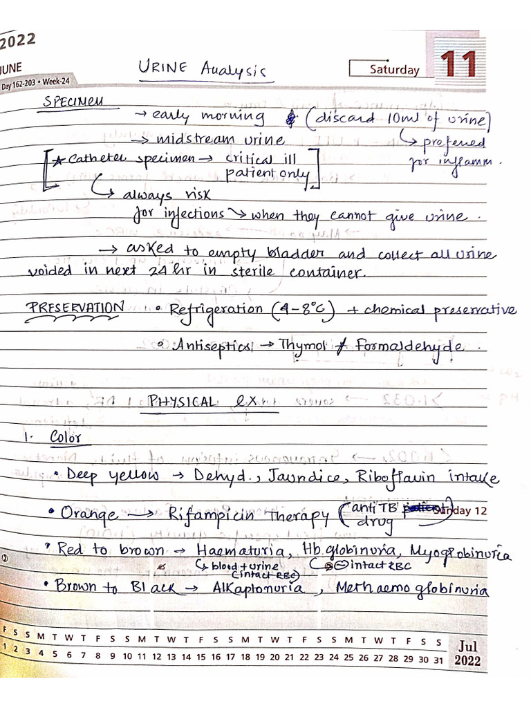 URINE Analysis - RGKMCH | PDF