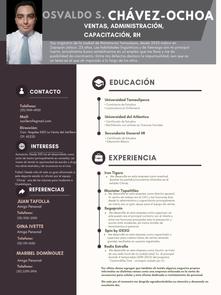 Curriculum Chávez Ochoa | PDF