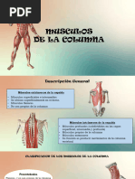 Musculos Intrinsecos y Extrinsecos Del Dorso | PDF | La columna ...
