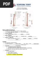 096-T04 A WristHand MM | PDF | Finger | Anatomical Terms Of Motion