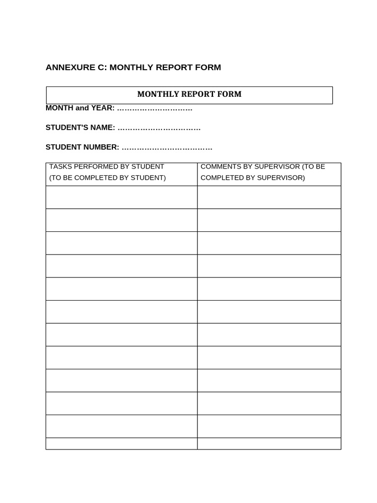 Monthly Report Template | PDF