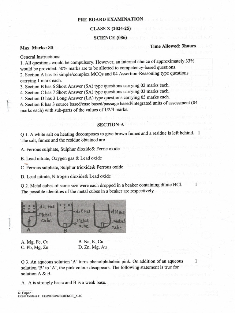 Amity International School, Noida Class 10 2024-2025 Pre-Board Science ...