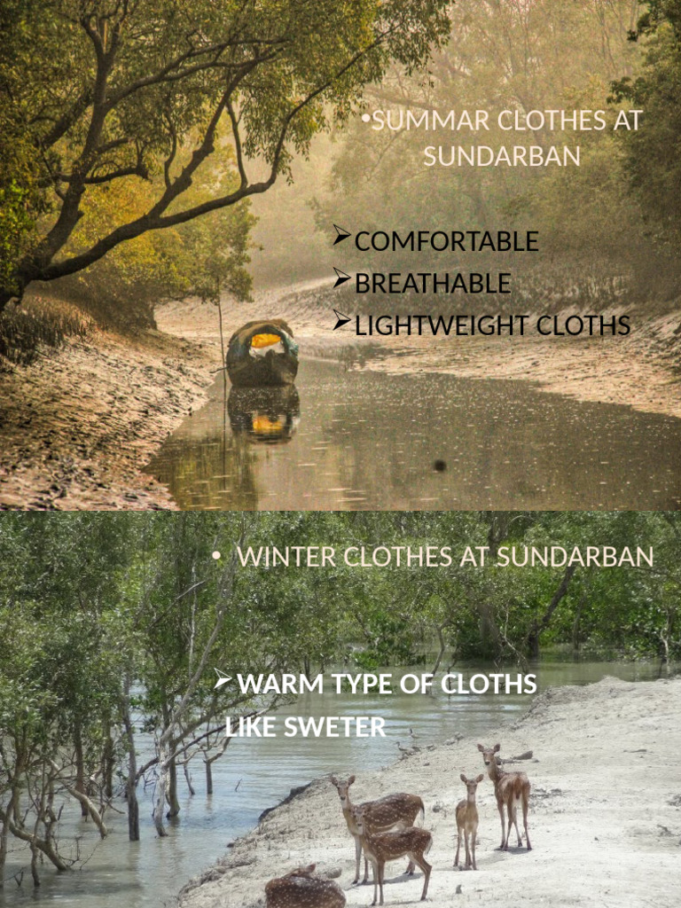 Rupam Das Presentation | PDF