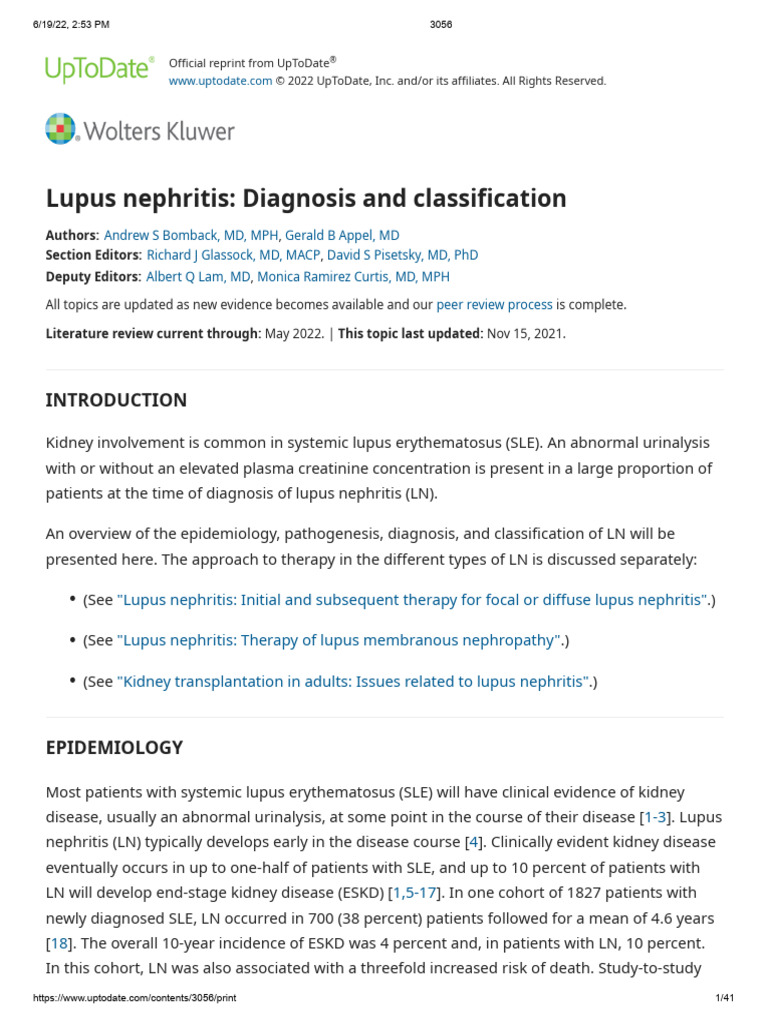 Lupus Nephritis Diagnosis and Classification | PDF | Kidney Disease ...