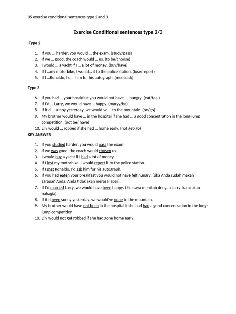 05 Exercise Conditional Sentences Type 2 3 | PDF