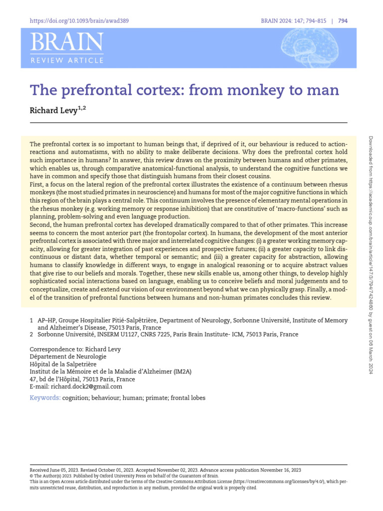 Prefrontal Cortex From Monkey To Man | PDF | Prefrontal Cortex | Working Memory