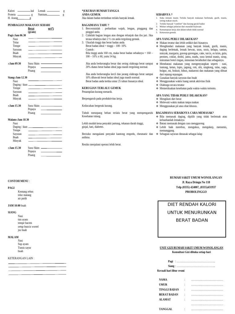 Leaflet Diet Rendah Kalori | PDF
